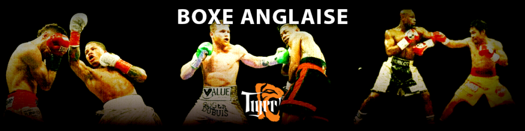 Boxing - Tiger's gym - Boxe anglaise